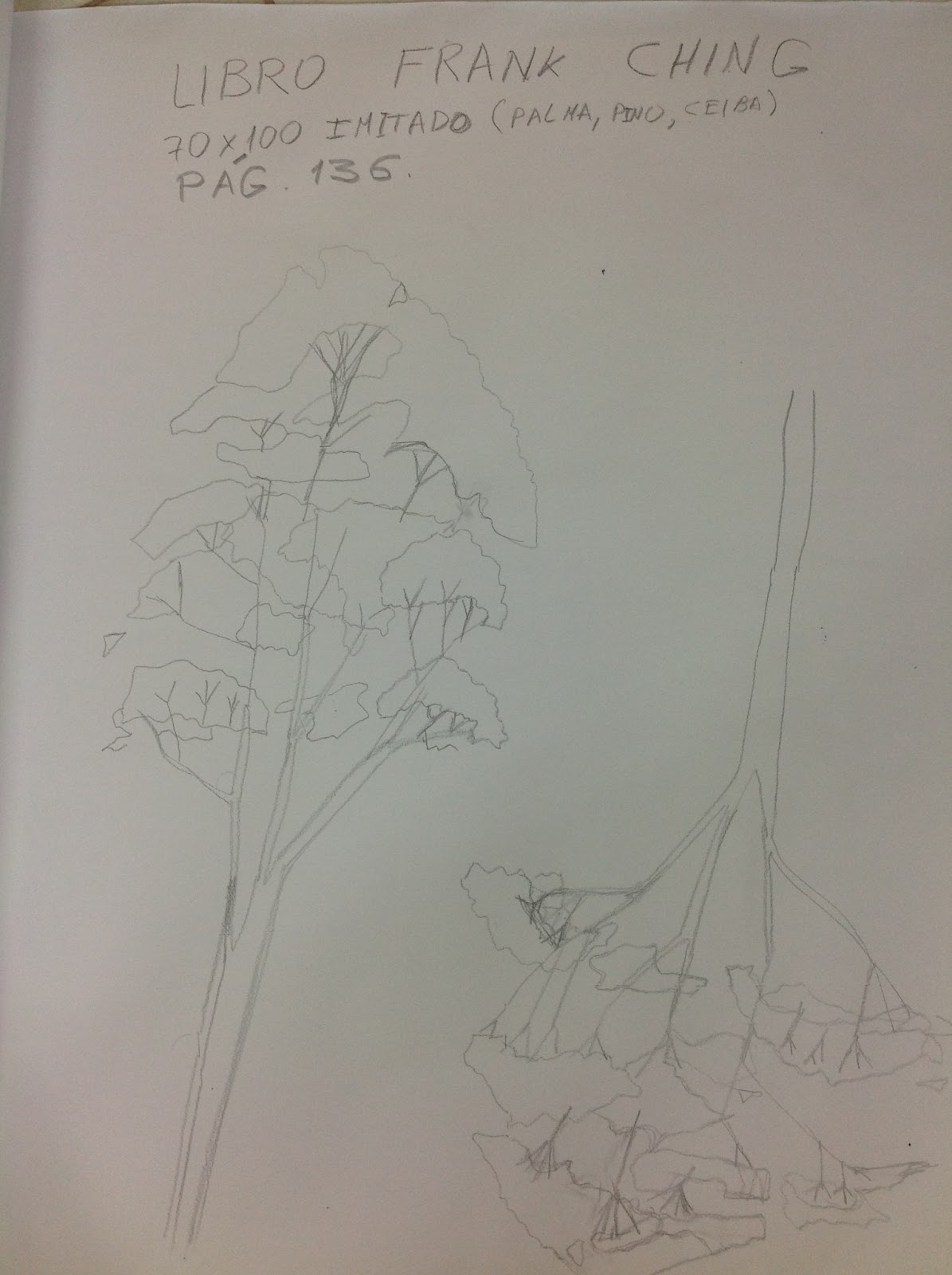 TALLER BASICO 1: : dibujos Frank Ching