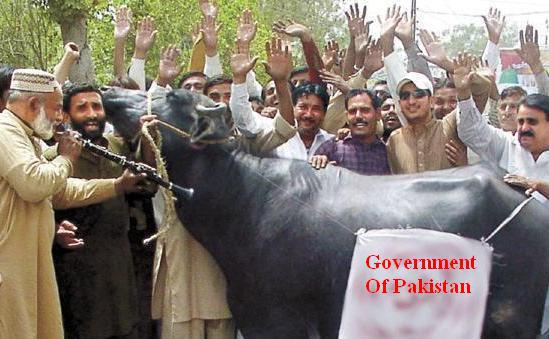 All about Funny Pictures and Funny SMS.: Bhains Ke Aage Been Bajana......