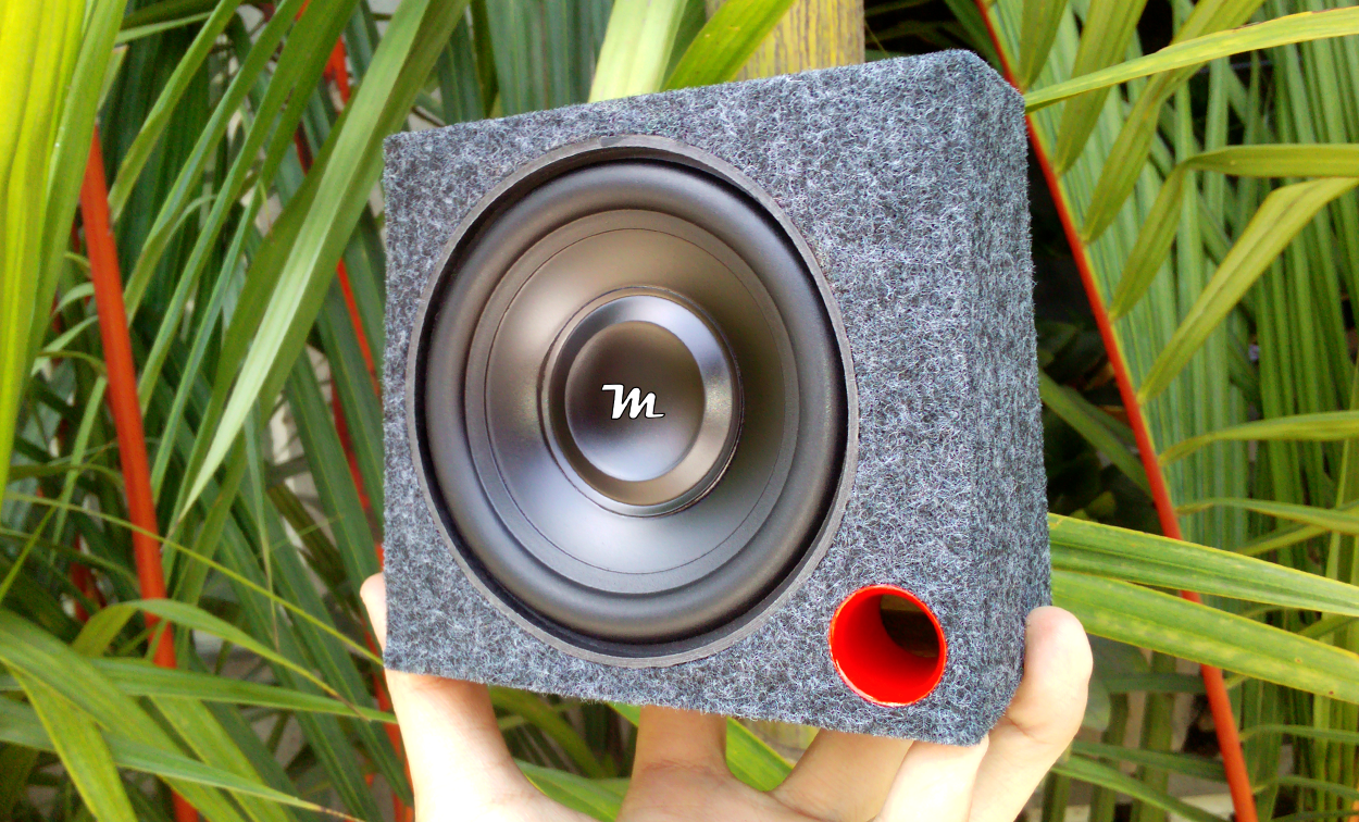 DIY Mini Subwoofer: Craft Your Own Bass Experience – Blog Digital ...