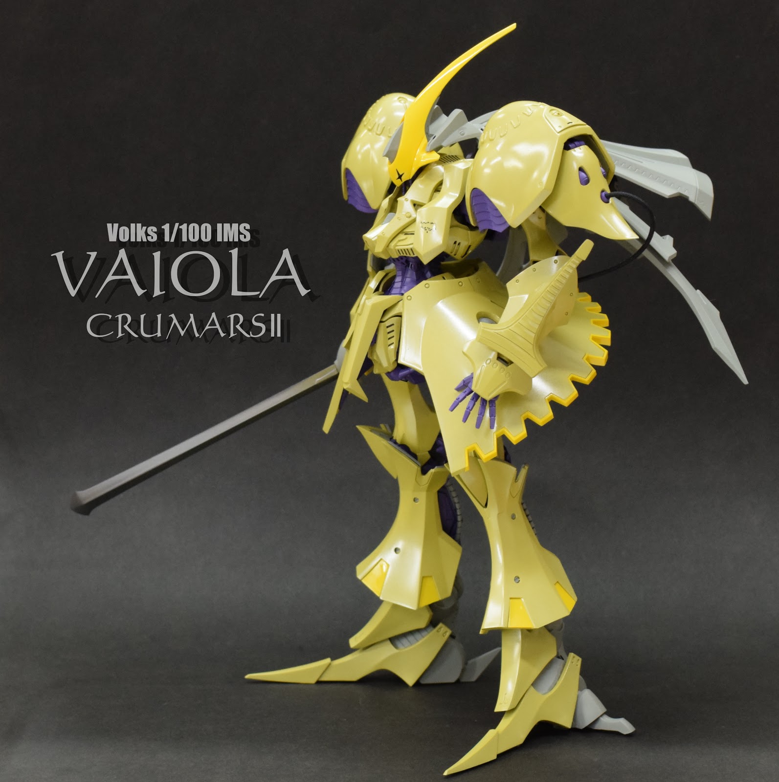 がんばらないけどあきらめない R'sRooM: IMS 1/100ヴァイオラ 完成