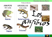 ENTRENA CON LAS CIENCIAS: UNIDAD 2 - MUCHOS REINOS COMPARTEN EL MEDIO ...