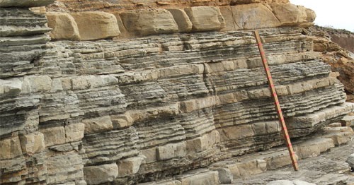 How to Identify Transgression and Regression in a Sedimentary Outcrop?
