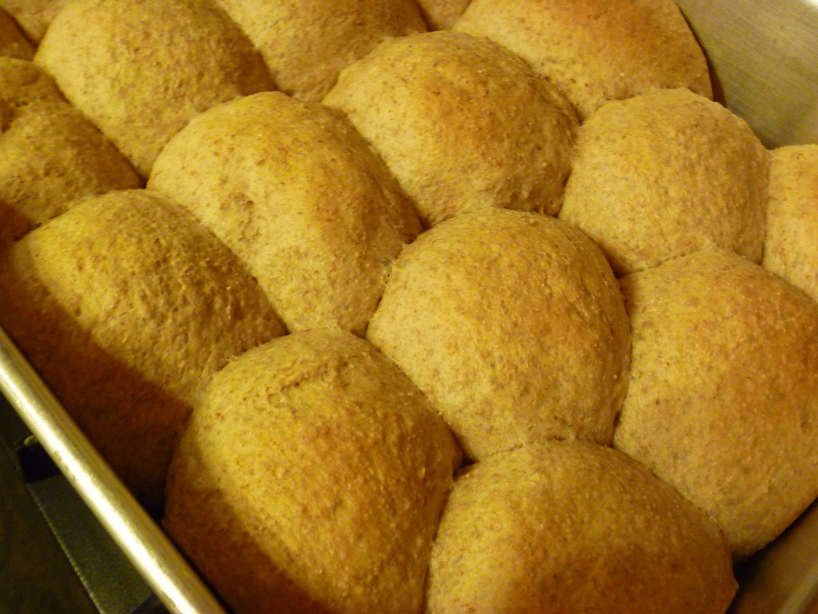 My Homemade Iowa Life: Whole-wheat rolls (using Iowa-grown wheat)