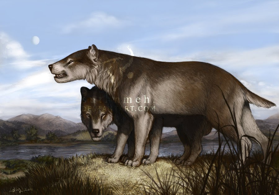 Escenarios prehistóricos: Hemicyon