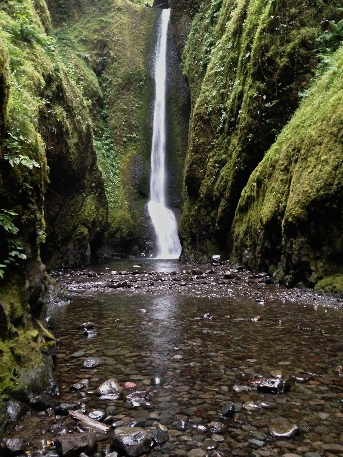 COLUMBIA RIVER GORGE: ONEONTA GORGE