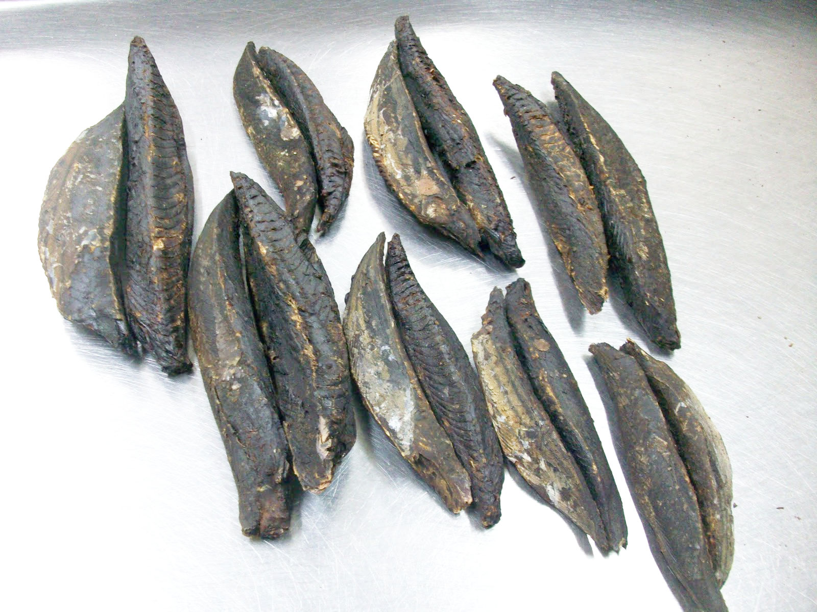 IKAN KAYU (KATSUOBUSHI - 鰹節)