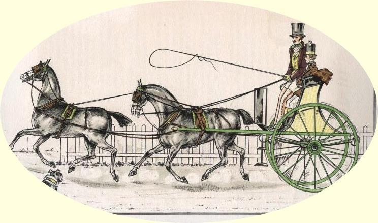 Michelle Blackler Equestrian