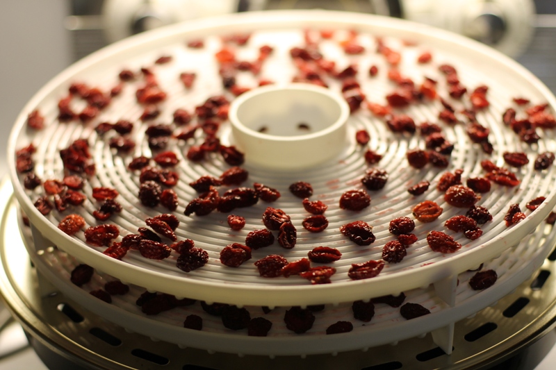 DIY Homemade Craisins | Gypsy Farmgirl