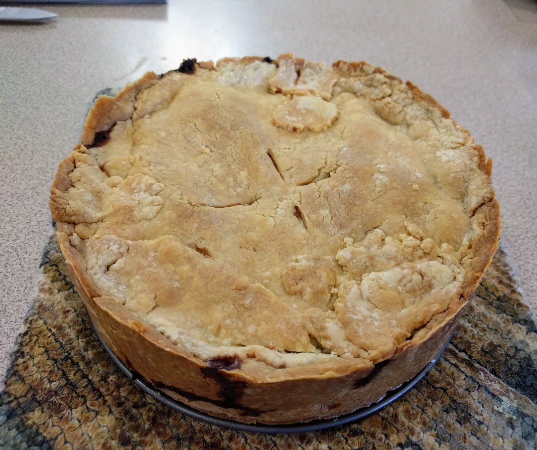 Time Travel Kitchen: Pilchard Pie