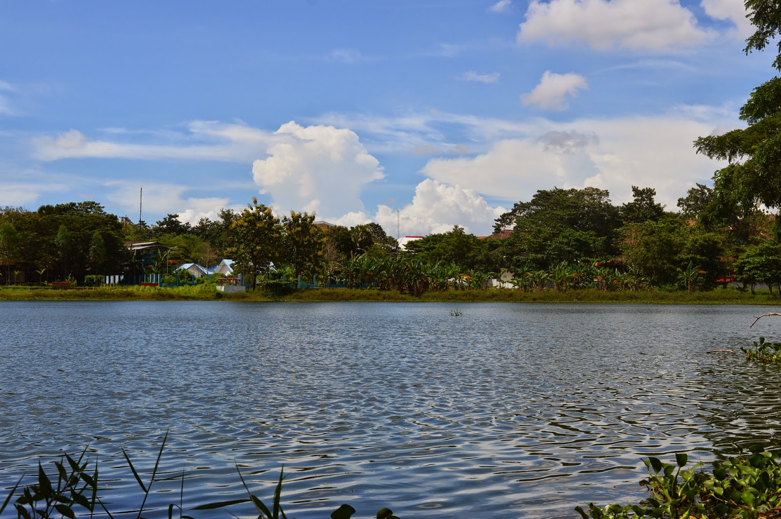 mozaik arsitek : Pesona Danau UNHAS