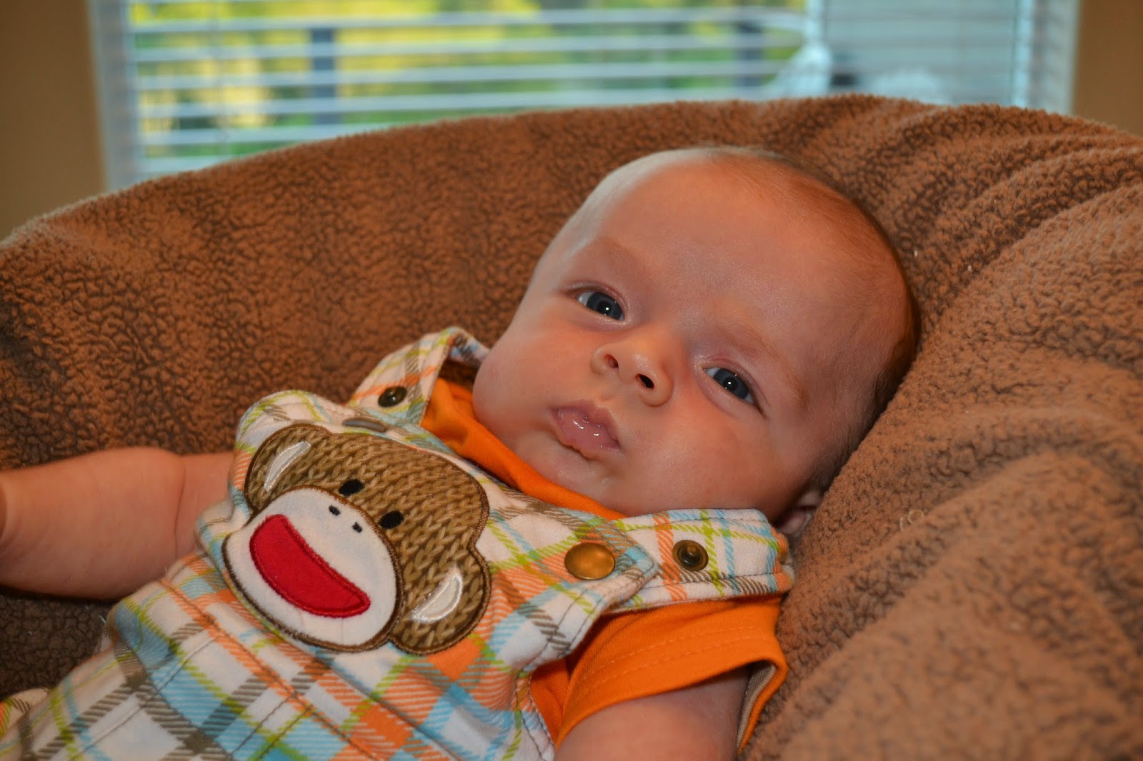 Lunde's Modern Life: 8 Weeks Old