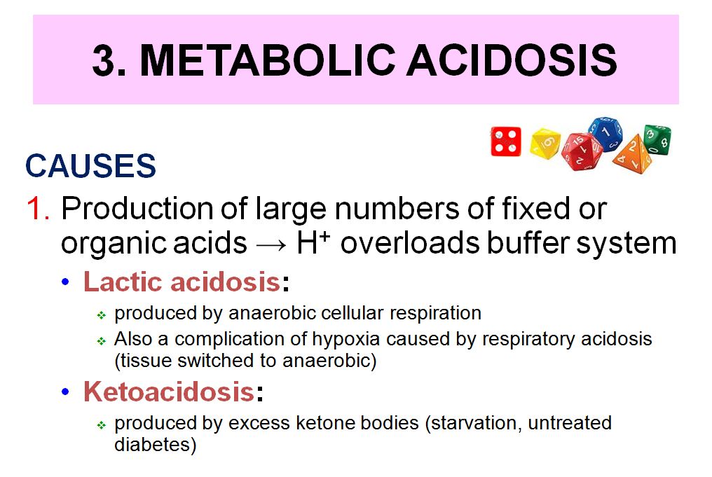 Medicine Newbie: SGD: Compensation in Metabolic Acidosis