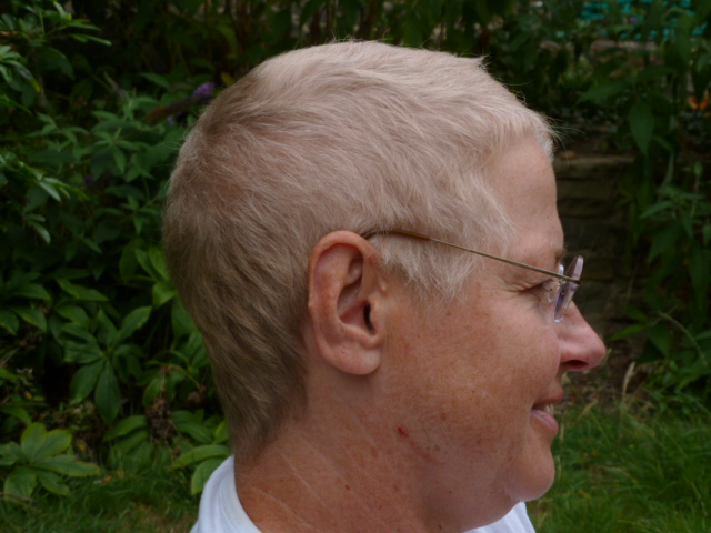 The adventures of a person with eclectic interests: Chemo hair regrowth