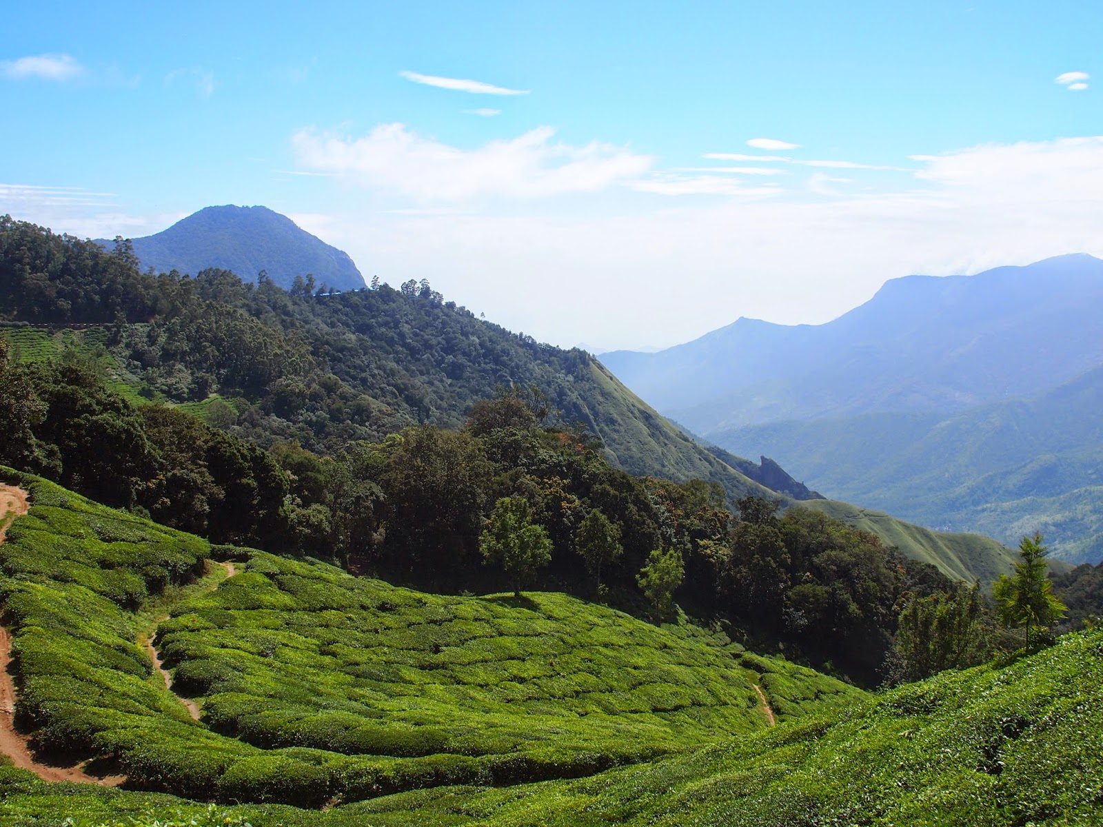 Balade à vélo: Inde Munnar