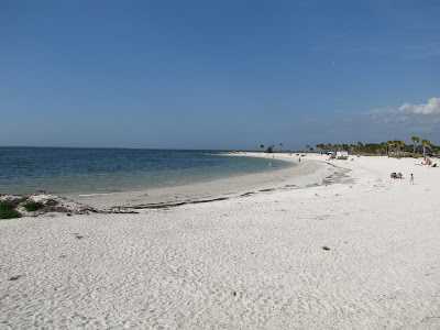 To Behold the Beauty: Florida in February