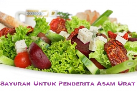 Sayuran Untuk Penderita Asam Urat yang Baik - Obat Asam Urat