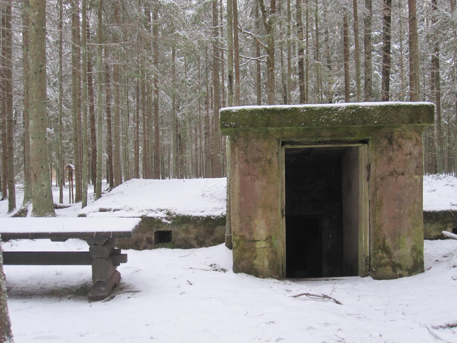 Four Strings Good..: Whispering trees - Litene, the forest of death