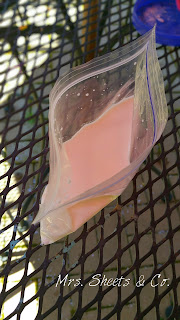 Mrs. Sheets & Co.: DIY Exploding Sidewalk Chalk