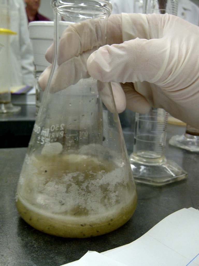 Chemistry Blog: Foul Water Lab Report