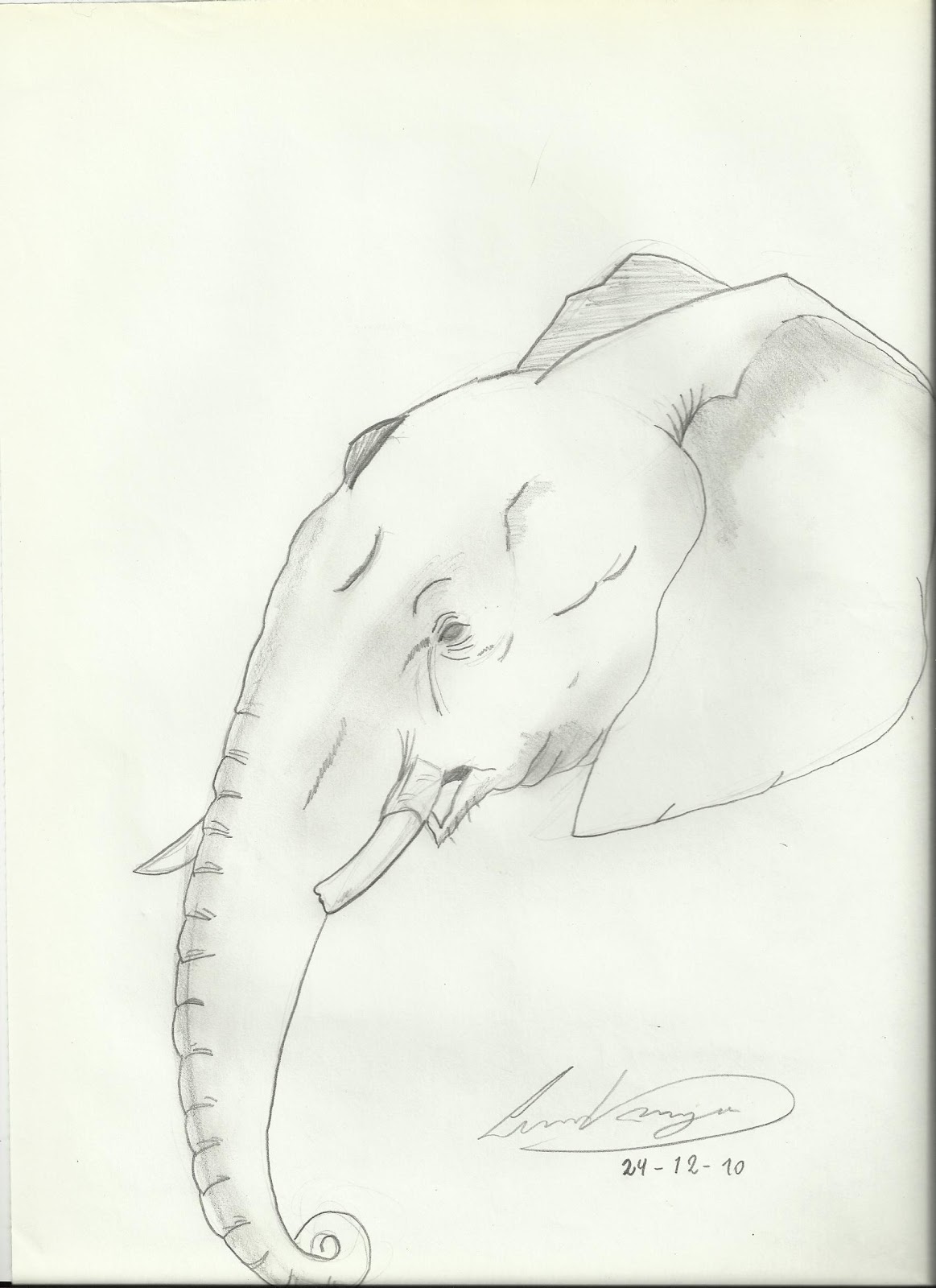 Estilo Libre: Galeria de dibujos