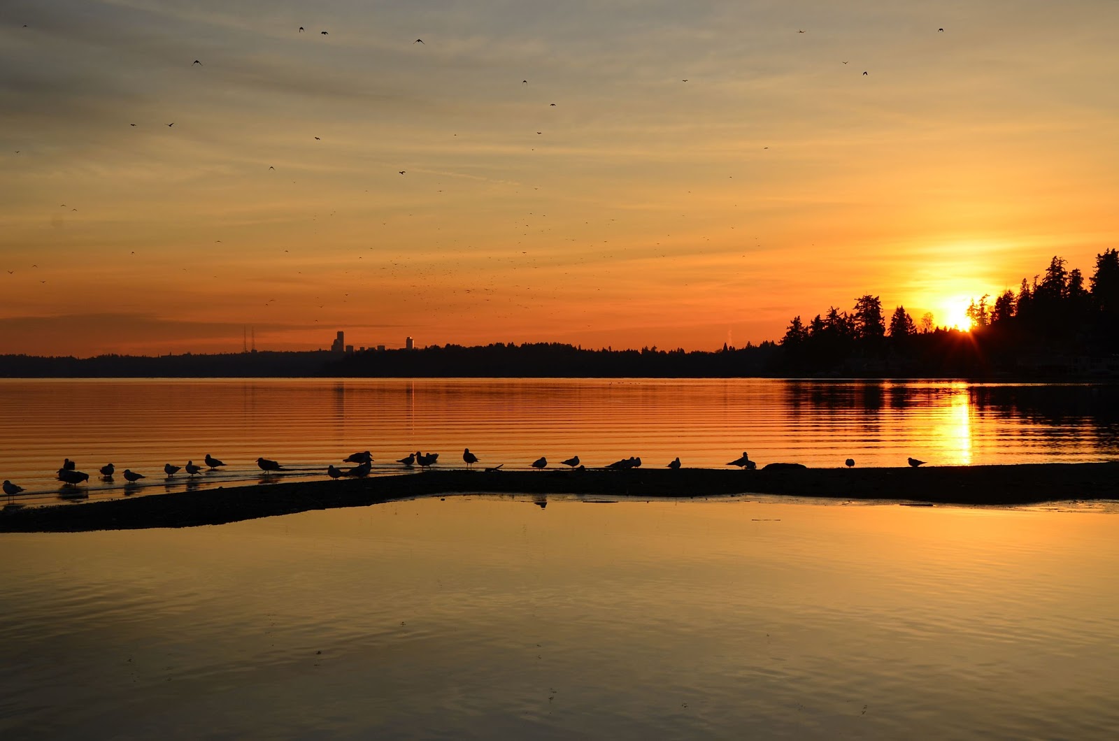 Yo Eddy !!: Lake Washington Sunset