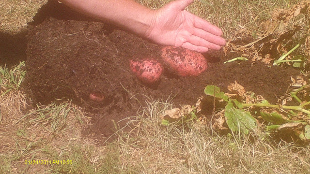 Uncle Macs Garden Shed