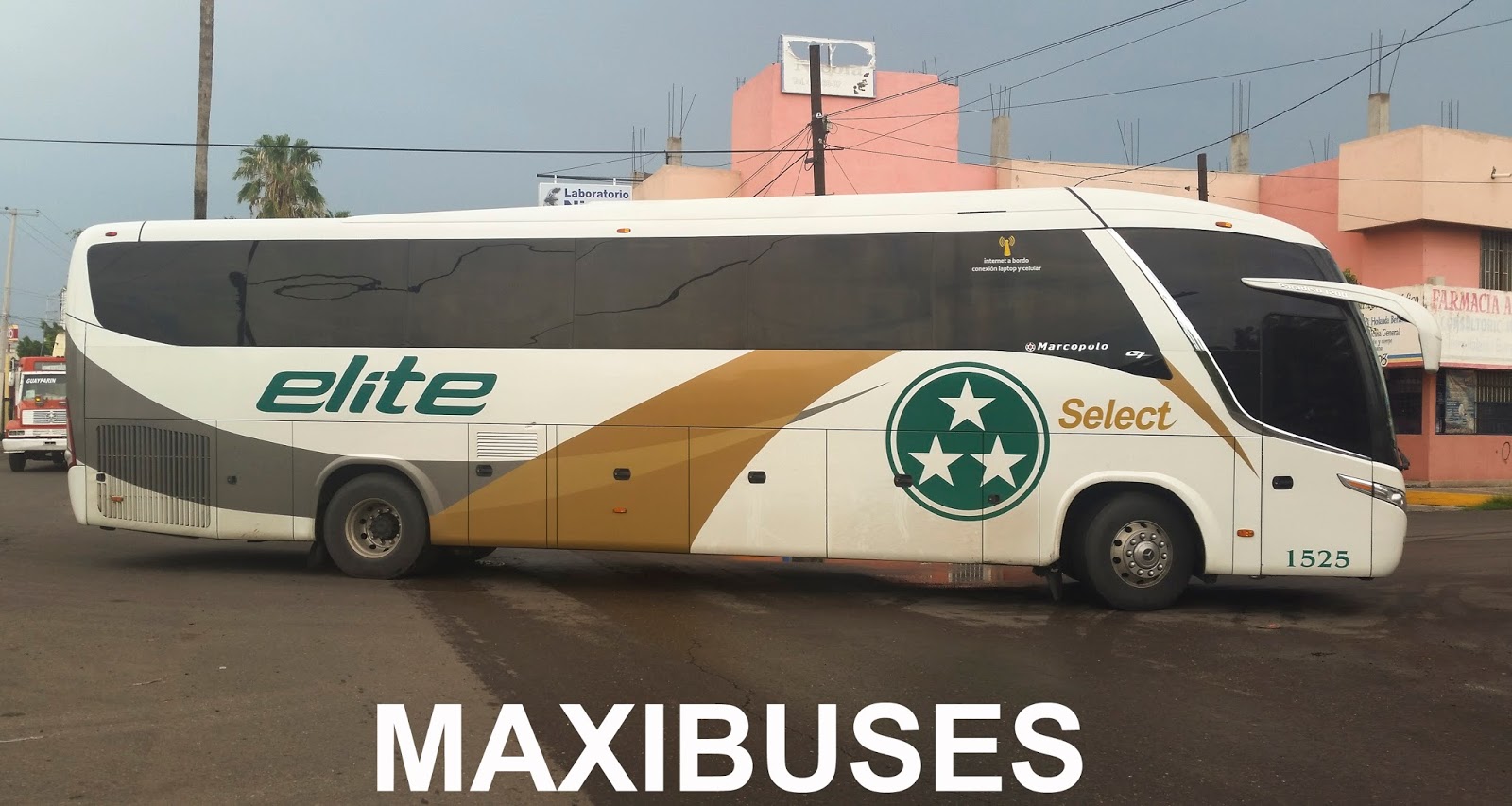 MAXIBUSES: ELITE SELECT