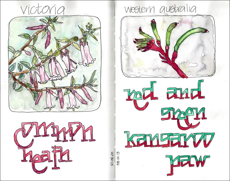 Stacy Creates: Flower Emblems of Australia