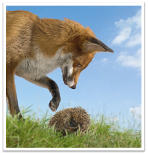 Bards and Tales: The Fox and the Hedgehog