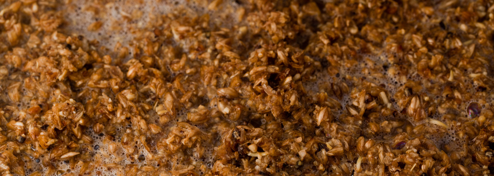 How to sparge your mash to collect the wort | How to Home Brew Beer