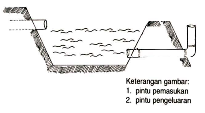 Life Skill: Membuat Kolam Pemeliharaan Ikan