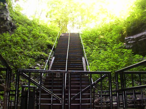 Outta the Way: Penn's Cave & Wildlife Tour