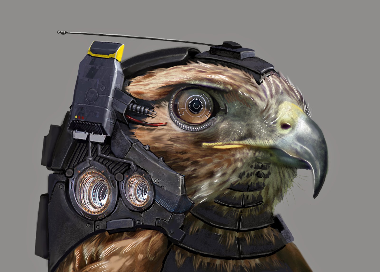 King of Monitors? - Off Topic - Star Citizen Base