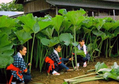 NINJUTSU 忍術: NINJA NO TABEMONO. Alimentos Ninja