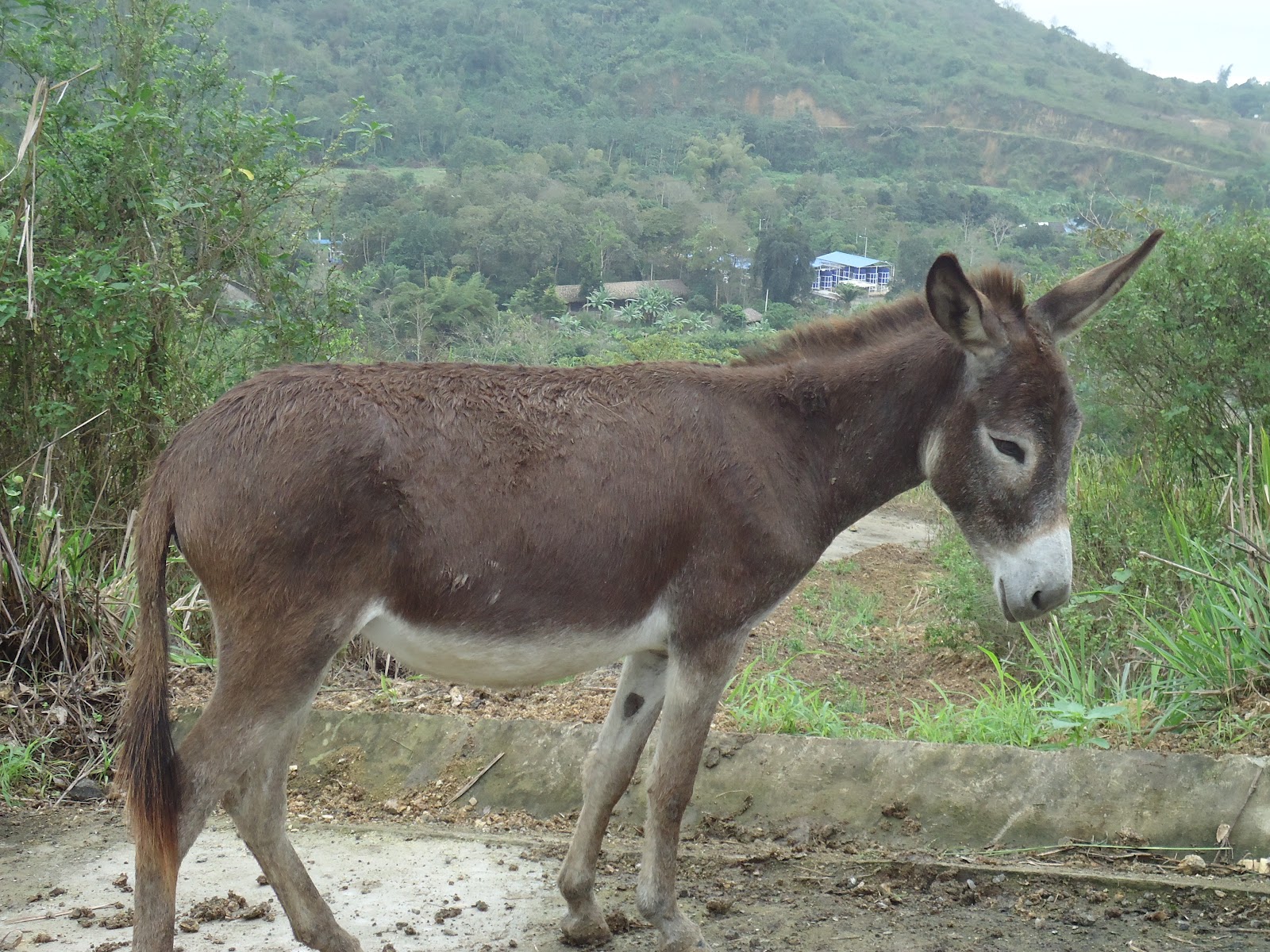 Granny on the road...: septembre 2012