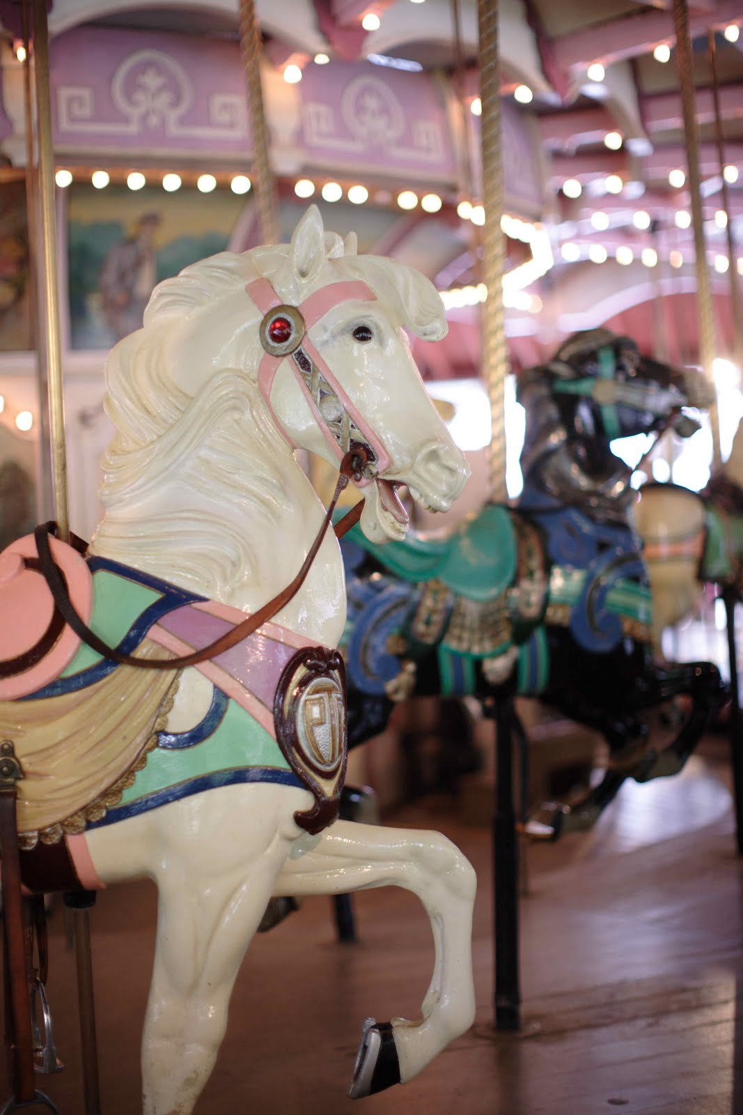 Lisa O'Dwyer Photography, Artistic Photography in Co. Kildare Ireland ...