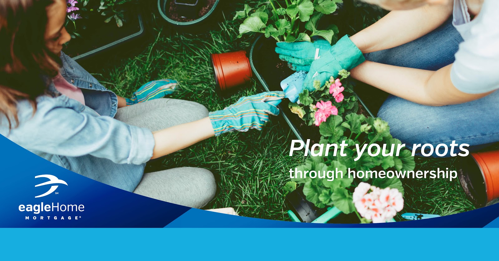 Mortgage Loans : Plant Roots