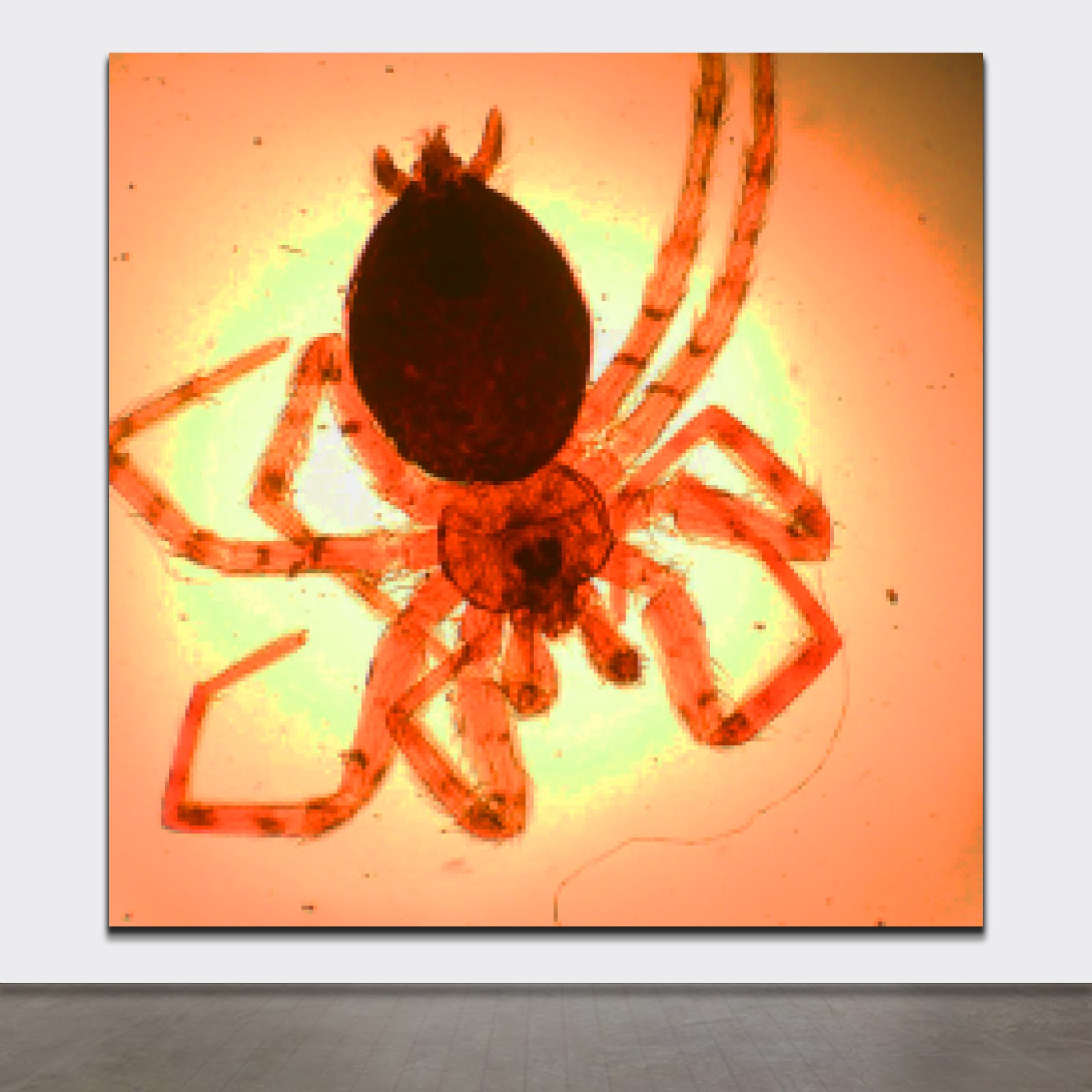 VIRALART: Re: ANDREW CAMPBELL: BRITISH ARTIST: PROTOTYPES: NETSCAPES: # ...