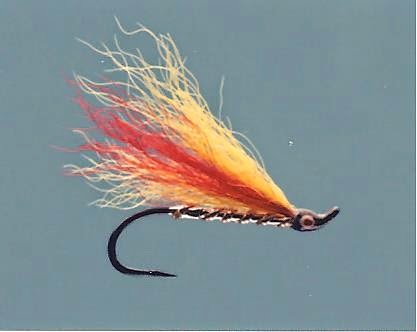 Fly Fishing with Doug Stewart: Fly Fishing with the "Deadly" Mickey Finn.