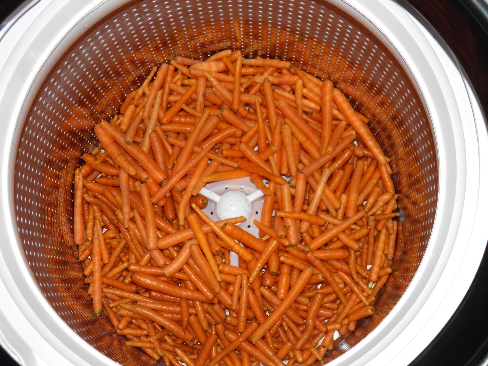 Home School Stamper of 3: Easy Carrot Cleaning!