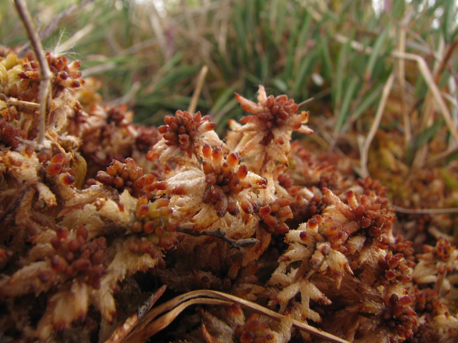 The 55th Parallel: Preparing for Arrival!