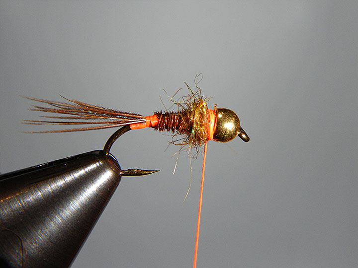 Fly and Fin: Polish Pheasant Tail Varation