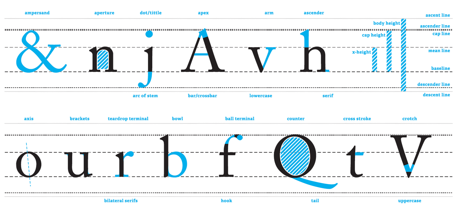 What is a Line: Anatomy of Type | Design Context
