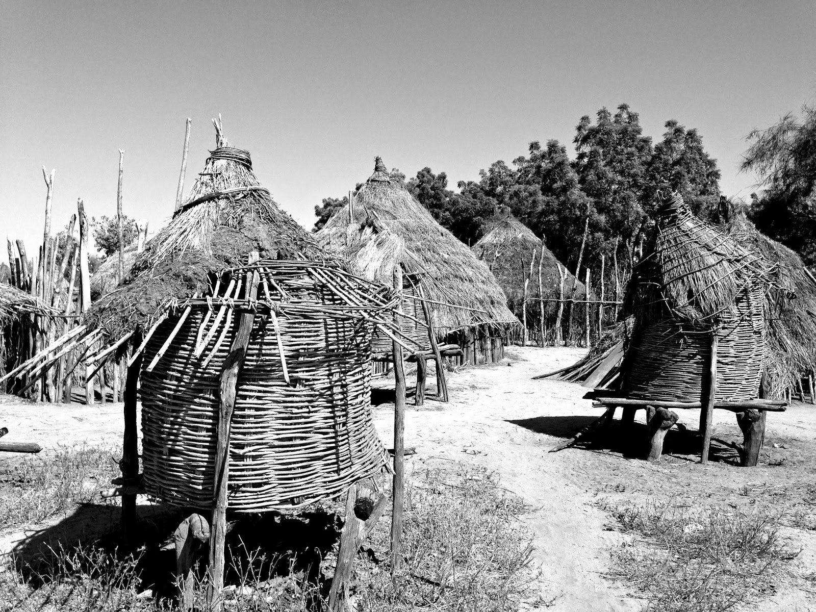 Brain Scoops from Princess Snapperhead: Time Travelling to the Karo Tribe