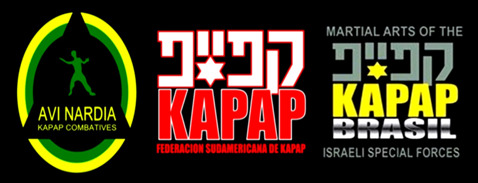Blog KAPAP Brasil - Israeli Martial Arts: Sobre o KAPAP