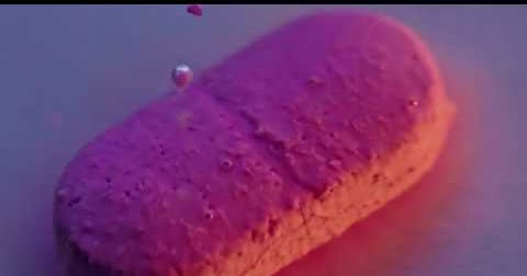 la dissolution ~ COURS de la pharmacie