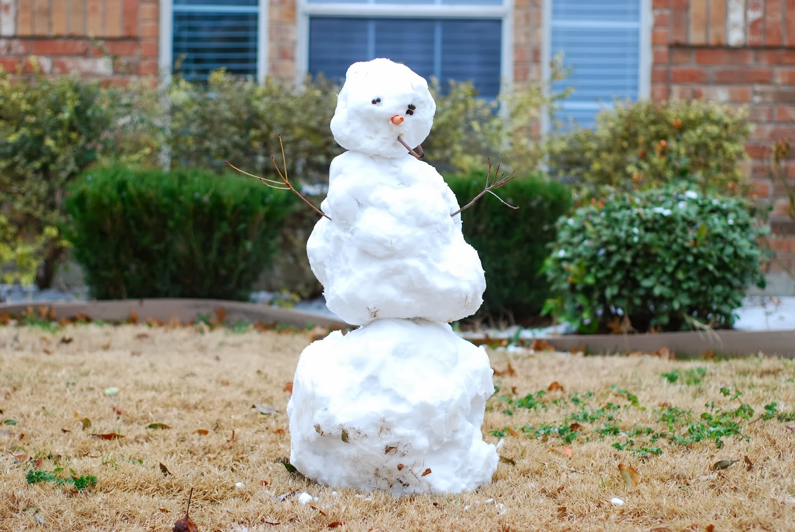 better than i could have imagined: do you wanna build a snowman?