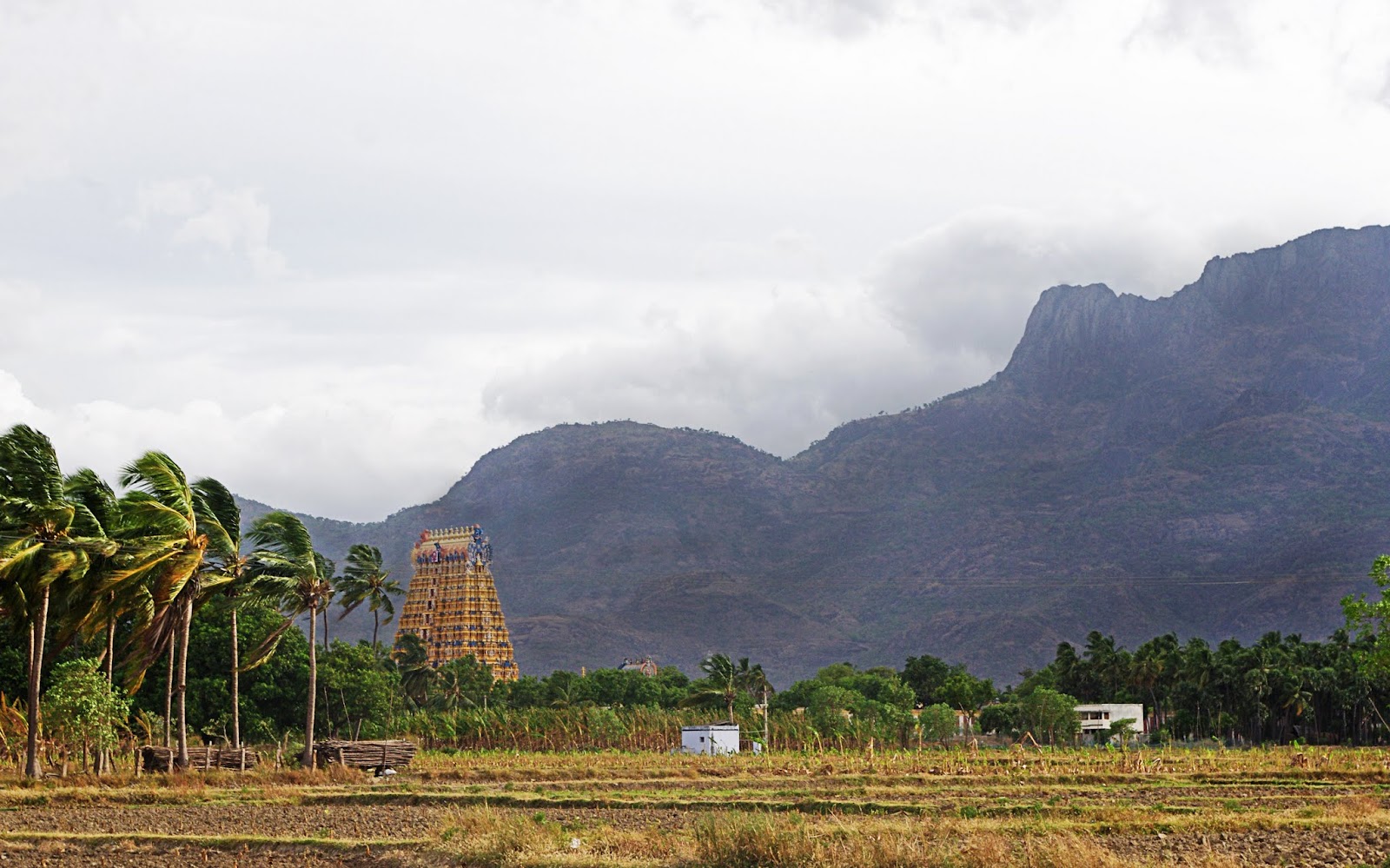 Tamilnadu Tourism: Sathya Vageeswarar Temple, Kalakkad, Thirunelveli