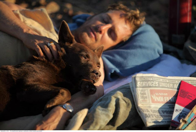 Cinehouse: DVD Review: RED DOG