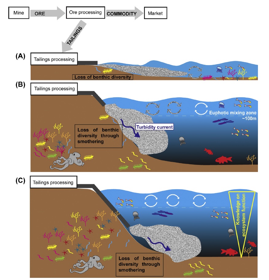 Deep-Sea Tailing Placement (DSTP) dalam Proses Penanganan Tailing Hasil ...